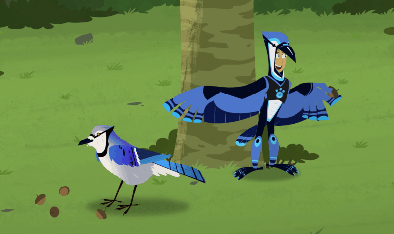 Use Fractions While Making a Bird Feeder | Crafts for Kids | PBS KIDS ...