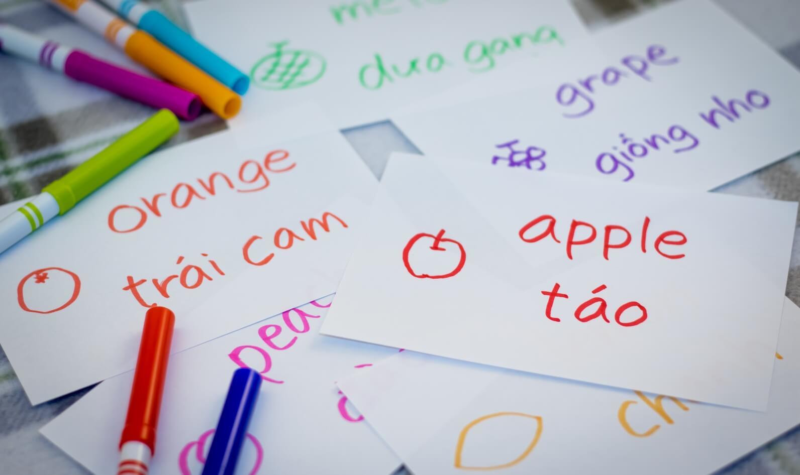 Dual Language Learners